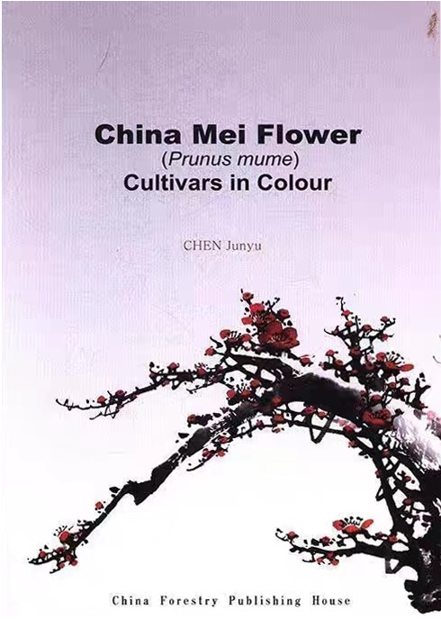 梅花（Prunus mume）现行分类体系 - 知乎