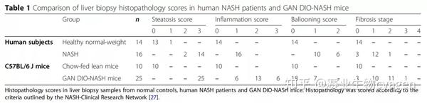 GAN饮食诱导的NASH小鼠的临床转化性 - 知乎