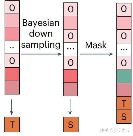 单细胞组学大模型（5）--- scFoundation，1亿参数量，非对称encoder-decoder - 知乎