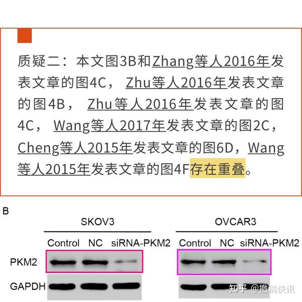 上海市第一人民医院的论文陷入评议风波，因图片重复被质疑 - 知乎