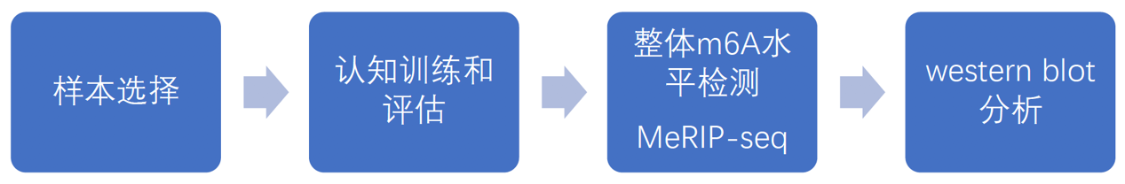 易基因｜文献科普：MeRIP-seq揭示m6A RNA甲基化改变导致亨廷顿病(HD)小鼠海马记忆障碍 - 知乎
