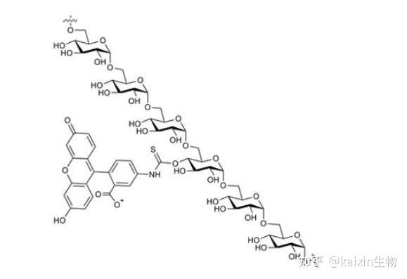 FITC 偶联葡聚糖形成的一种标记物Dextran-FITC，FITC-Dextran - 知乎