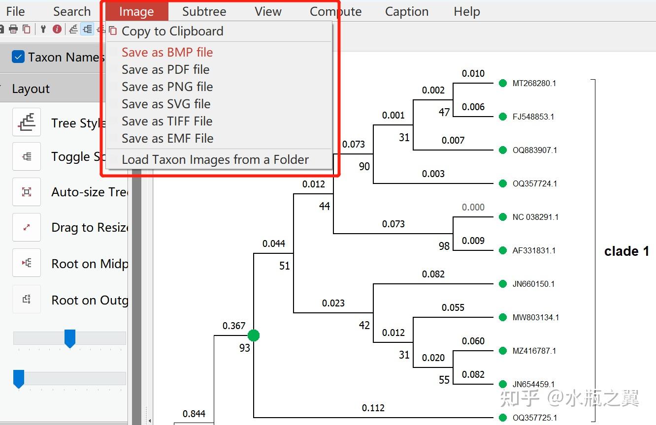 手把手教你绘制进化树（理论与实践） - 知乎
