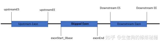 可变剪切分析（二）rMATS差异可变剪切分析 - 知乎