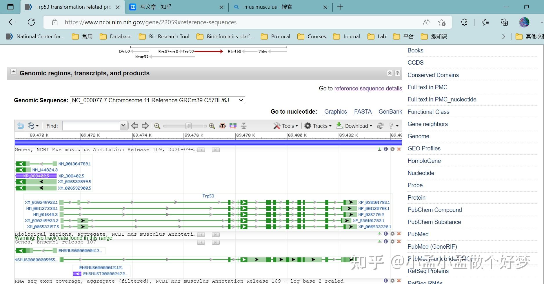 同源重组法构建质粒图谱 - 知乎