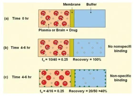 高蛋白结合药物PPB测定：动态透析法的原理及优势 - 知乎