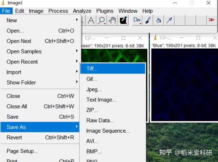 如何用imageJ做merge图? - 知乎