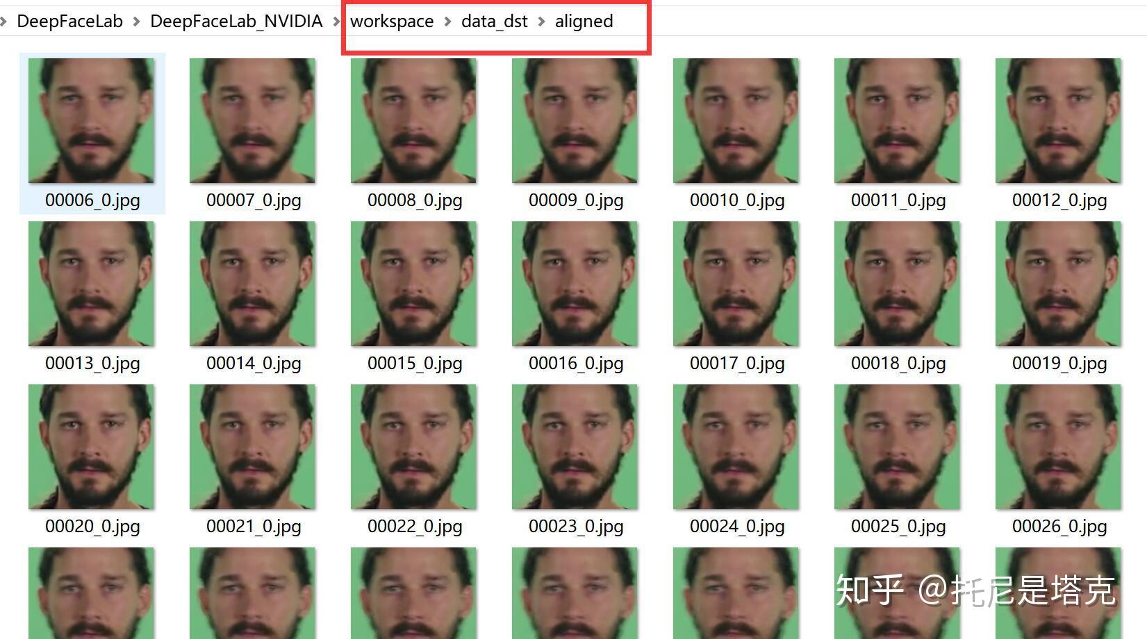 DeepFaceLab2.0 ：超详细入门教程! - 知乎