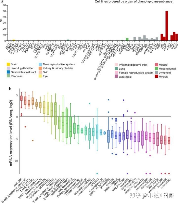 生信实操丨是的你没看错！0代码复现4分生信文章的7图1表 - 知乎