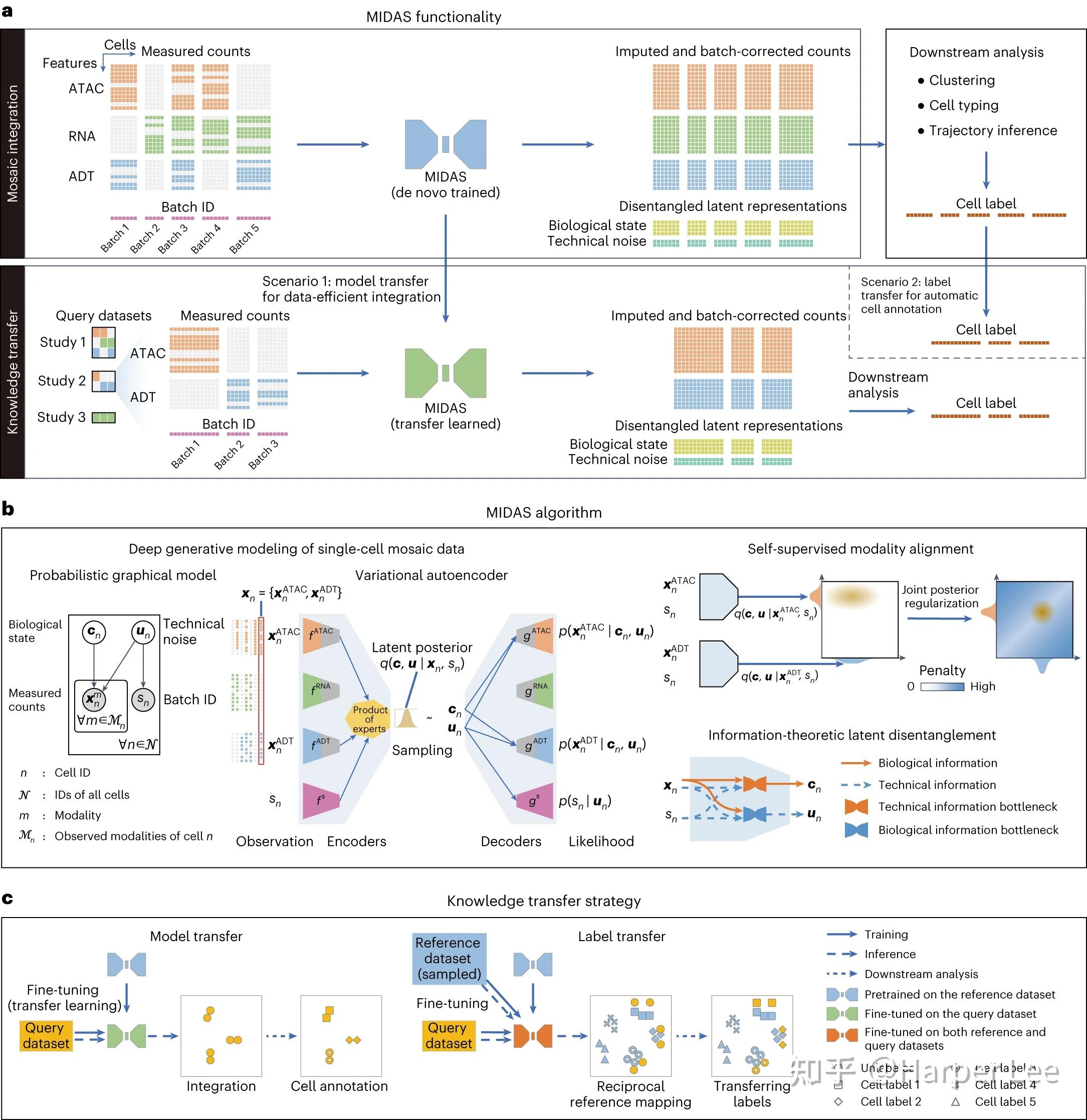 文献阅读（2）：使用MIDAS对单细胞多模态数据进行镶嵌集成和知识传递 - 知乎