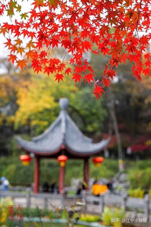 南京的栖霞山到底有多好看？ - 知乎