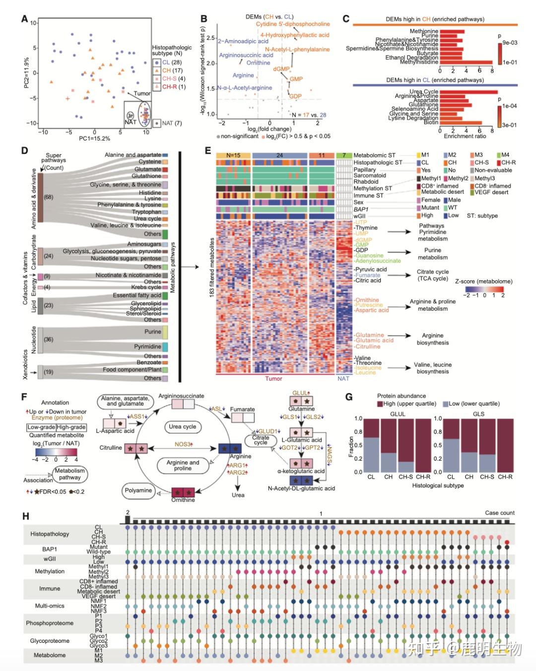 30+机构联合蛋白组学、多组学揭示透明细胞型肾细胞癌侵袭性特征 - 知乎