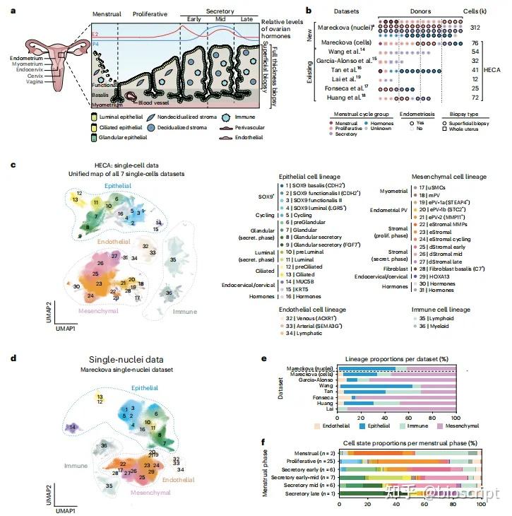 Nature Genetics | 单细胞+空间转录组构建包含62.6万个细胞的人类子宫内膜图谱 - 知乎