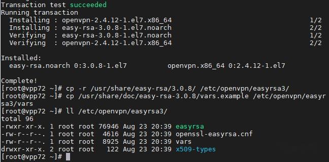 openVPN + VPP = openVPP - 知乎