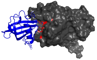 AlphaFold Multimer模型实测案例 - 知乎