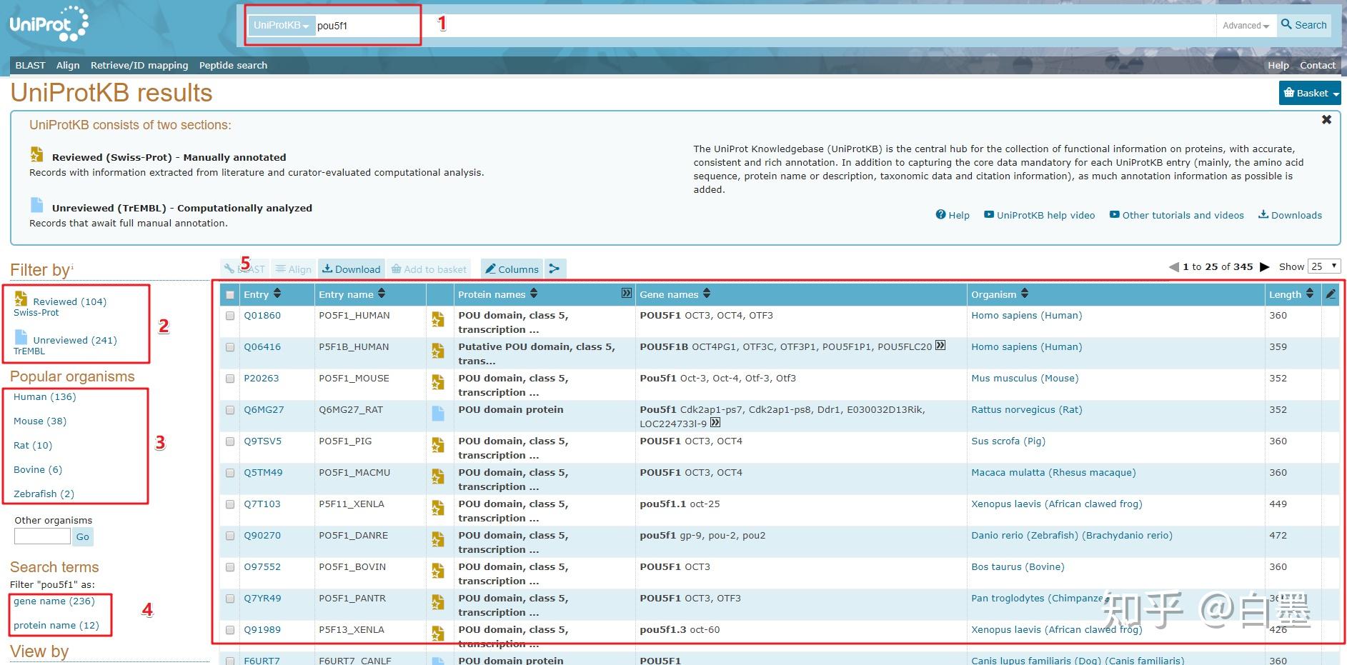 一文极速读懂 Uniprot 蛋白质数据库 - 知乎