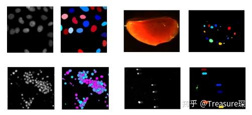 CellProfiler——下一代生物图像处理软件 - 知乎