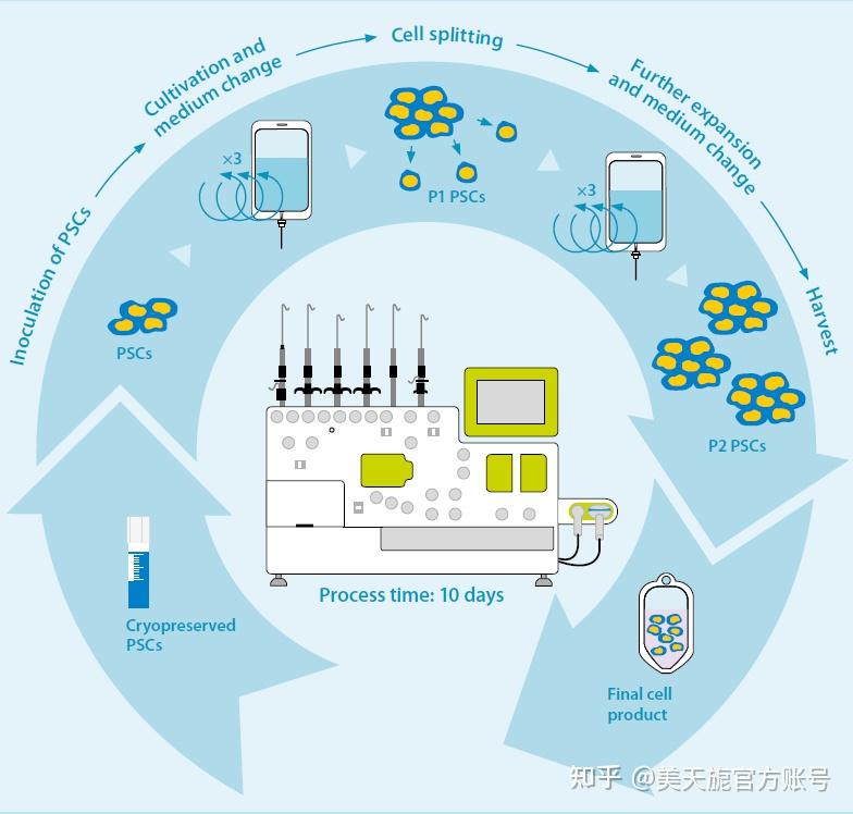 CliniMACS Prodigy®非CAR修饰技术基础上的细胞制备领域的应用 - 知乎