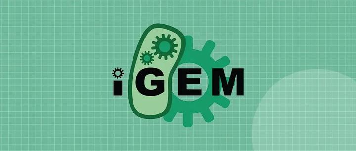 实话实说|IGEM到底值不值参加~ - 知乎