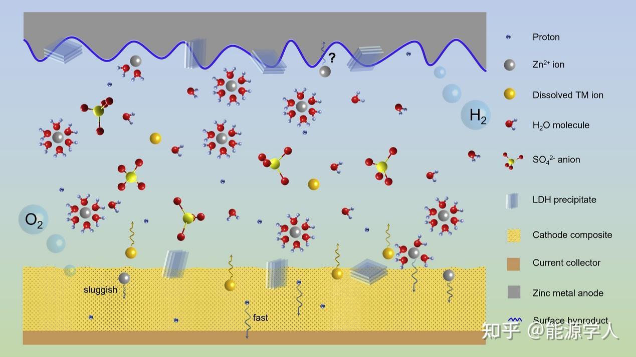 4年发文3万篇，是实用还是噱头？Linda F. Nazar和Lynden A. Archer刊文论述水系锌电实用化之路 - 知乎