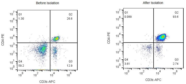 磁珠分选系列—IPHASE CD4+ T淋巴细胞分选试剂盒 - 知乎