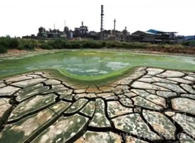 重金属污染防治成耕地保护重点方向 - 知乎