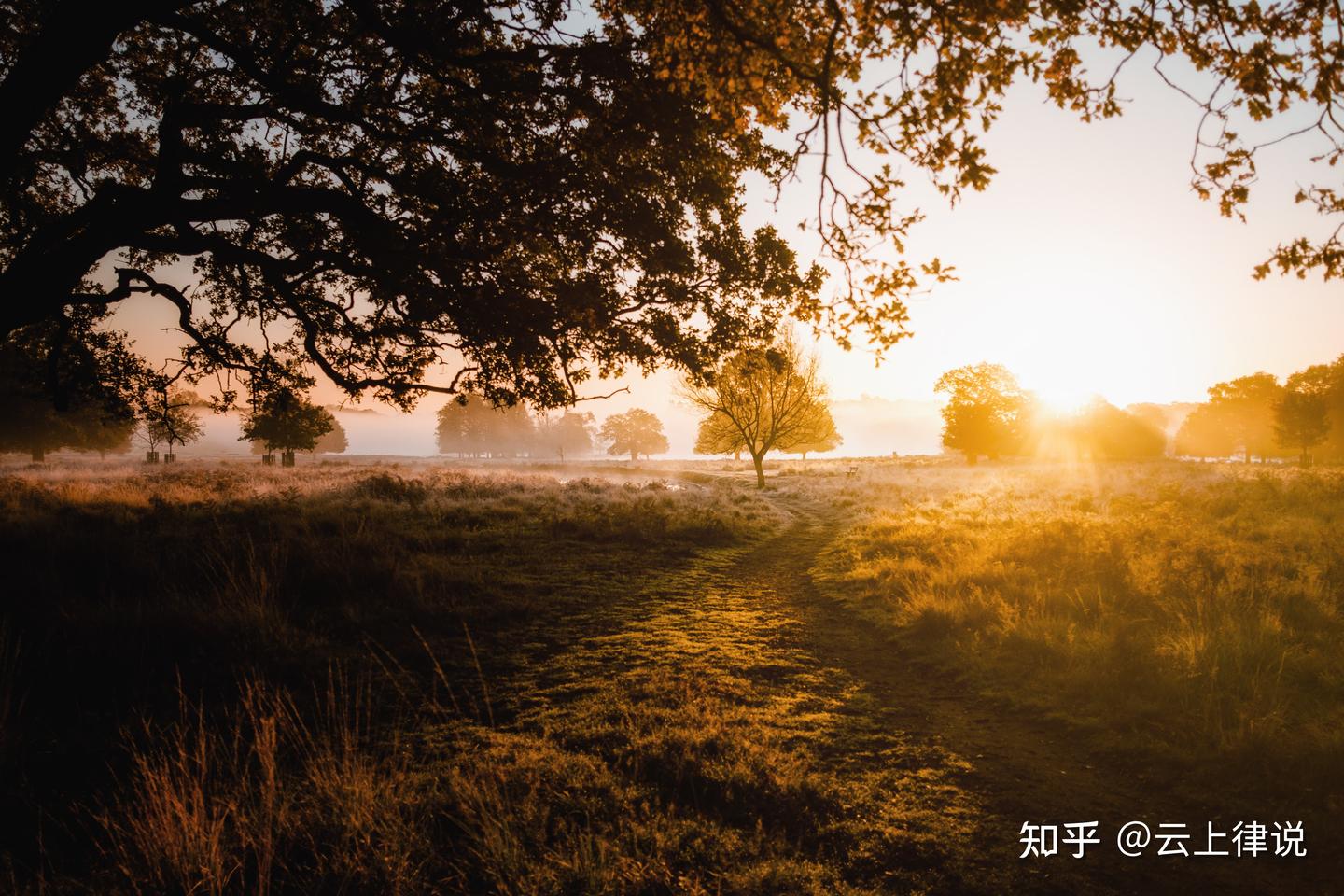 云上律说｜GPL 3.0协议权利人的声明能否排除或改变GPL 3.0协议规定 - 知乎