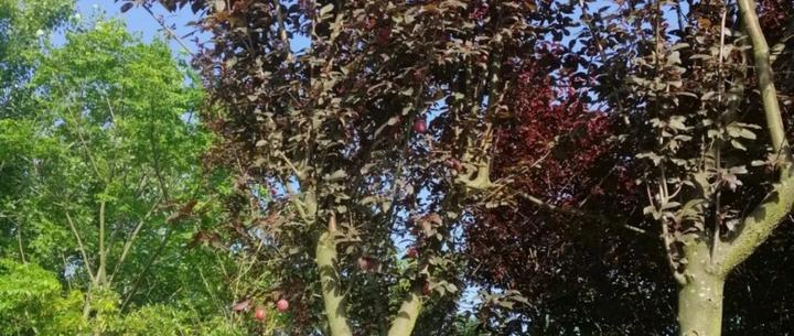 WPF Image控件中的ImageSource与Bitmap的互相转换 - 知乎