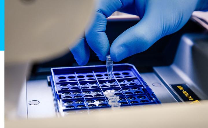 SNP分型-KASP法介绍 - 知乎