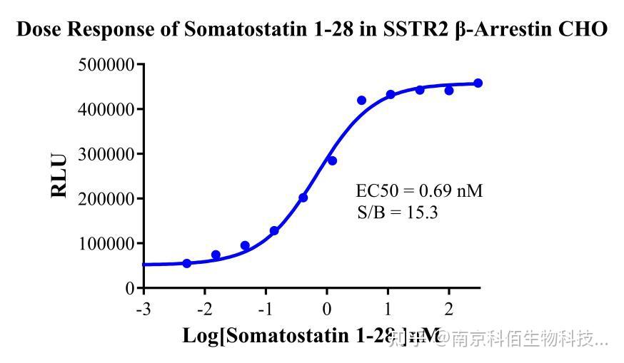 药靶细胞模型---SSTR2细胞筛选模型 - 知乎