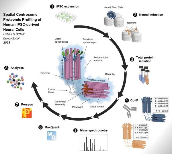 Bio-protocol | 2023年9月5日最新上线实验方案目录 - 知乎