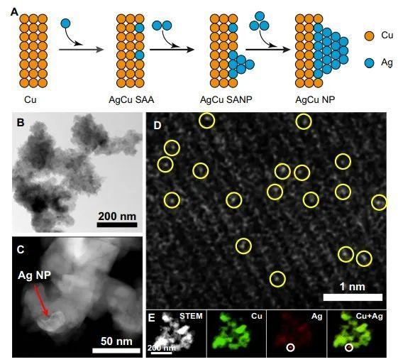 Nature子刊：AgCu SAA加Ag NP，实现级联电催化CO2转化为多碳产物 - 知乎