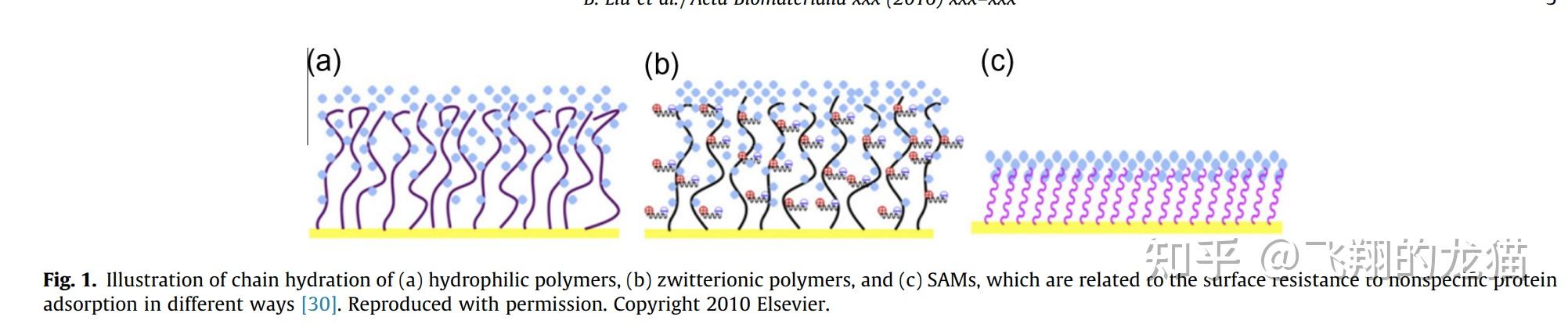 SPR技术原理是什么？ - 知乎