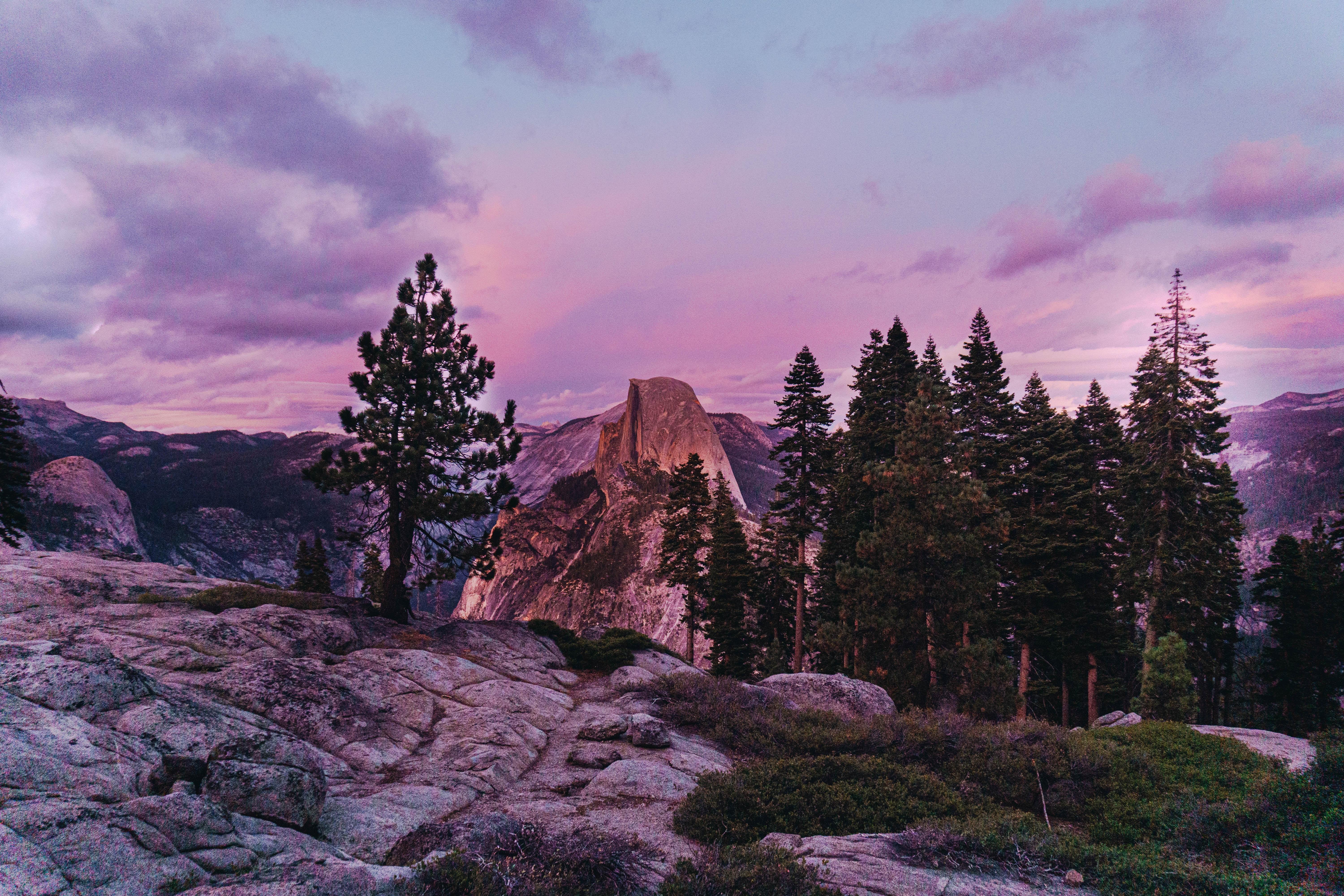 了解HATEOAS - 知乎