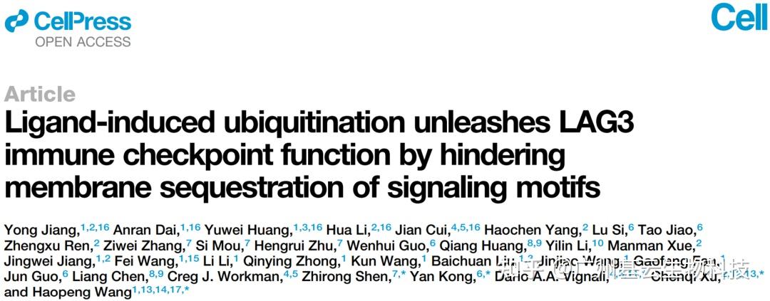 《Cell》解读：巧用Co-IP/IP-WB揭示配体结合触发LAG3受体泛素化活化的分子机制! 泛素化成为免疫治疗的新焦点 - 知乎