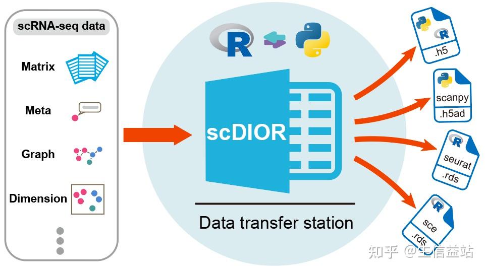 单细胞终极笔记之——Seurat、anndata/h5ad、LOOM、SingleCellExperiment 格式互相转换 - 知乎