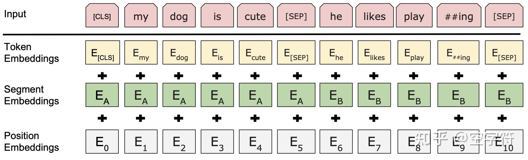 从零实现BERT网络模型 - 知乎