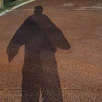 bapi介绍，与对mm02得bapi系数修改逻辑 - 知乎