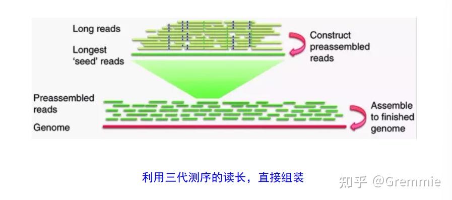基因组装的概念/算法(OLC,K-mer)详解 - 知乎