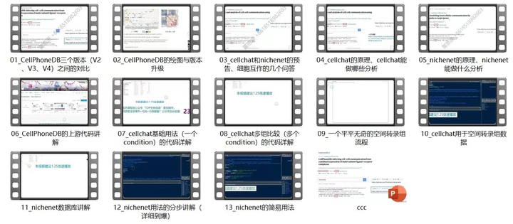 全网最系统的单细胞测序细胞互作 细胞通讯分析课程 知乎