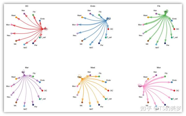 一文解决Cellphonedb单细胞互作分析及可视化作图（2） - 知乎