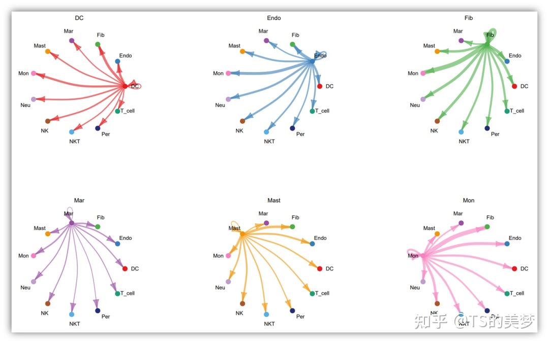 一文解决Cellphonedb单细胞互作分析及可视化作图（2） - 知乎