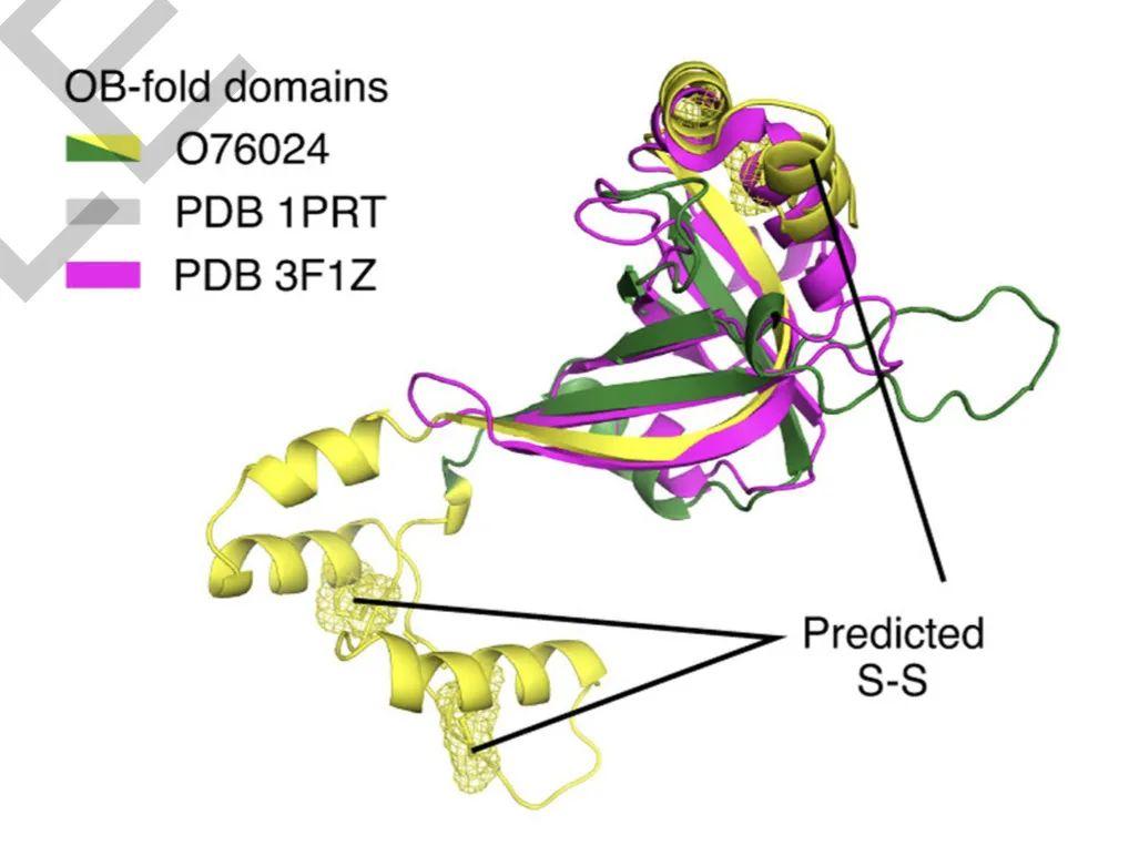 AlphaFold2 再登 Nature，从业者都懵了：人类98.5%的蛋白质，全都被预测了一遍 | Future