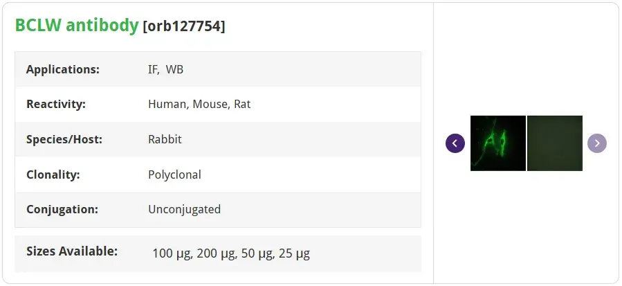 【Biorbyt科研专题】BCL-2 蛋白家族 - 知乎