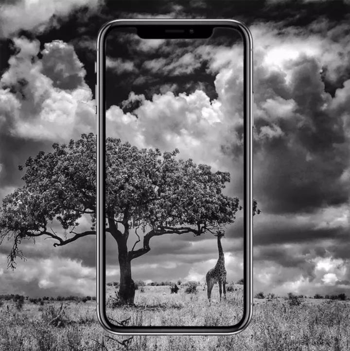 配上这些美图，iPhone X / Note 8 / MIX 2谁更好看？ | 一点图赏 - 知乎