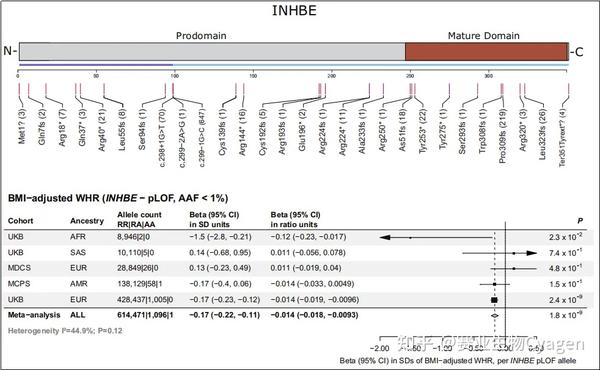 INHBE靶点人源化小鼠模型助力肥胖症siRNA疗法研究 - 知乎