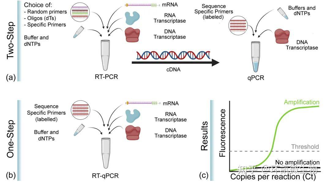 PCR、qPCR、RT-PCR、RT-qPCR、Real-Time PCR的区别 - 知乎