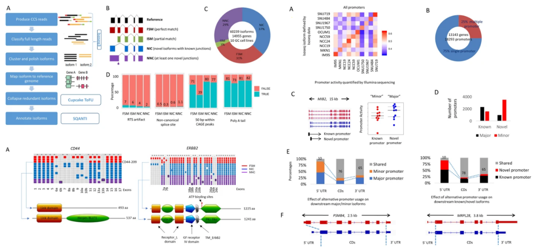 新锐视点 | 长读长测序家族之ISO-seq - 知乎