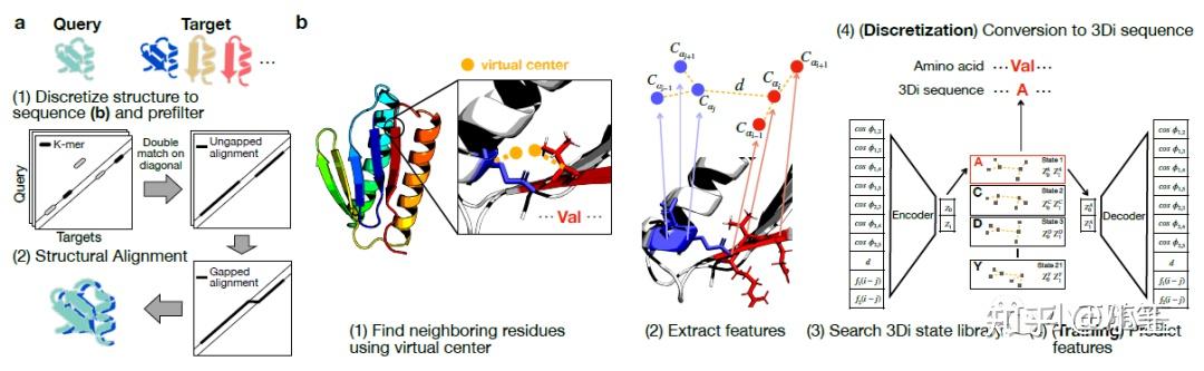 蛋白结构生物信息学的造极：AlphaFold DB的结构挖掘 - 知乎