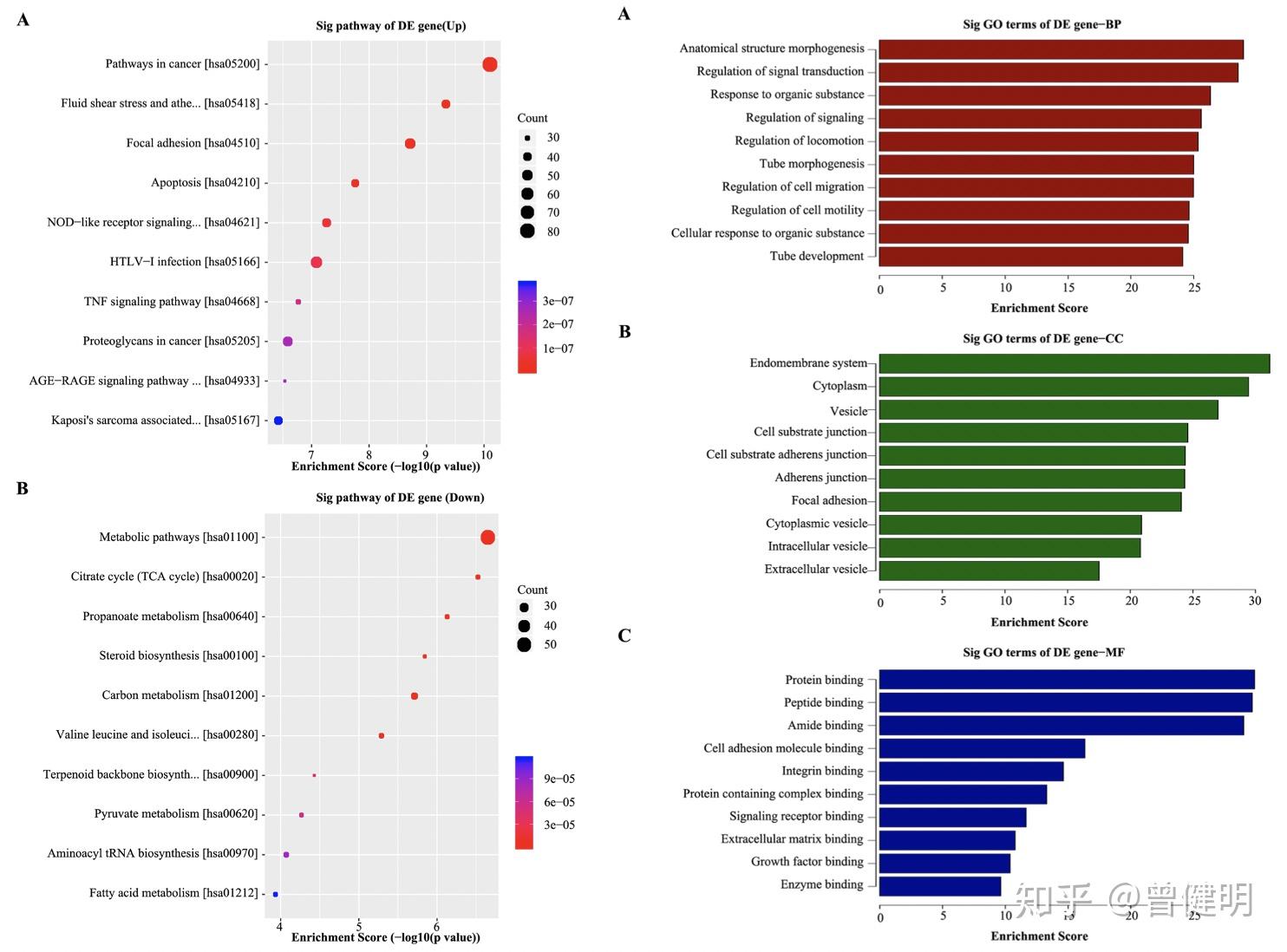 药物处理细胞系前后转录组数据该如何分析 - 知乎